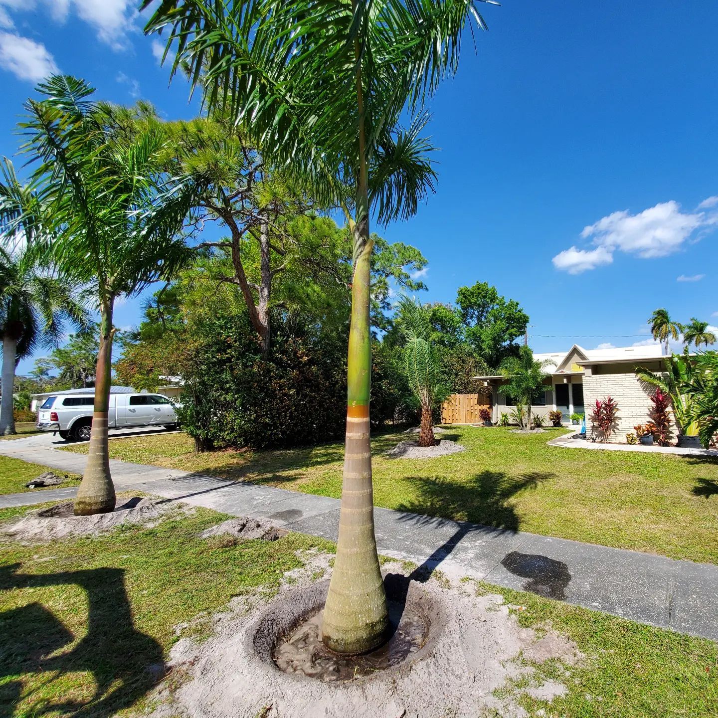 Tree Nursery | Southwest Florida | 239-543-4806