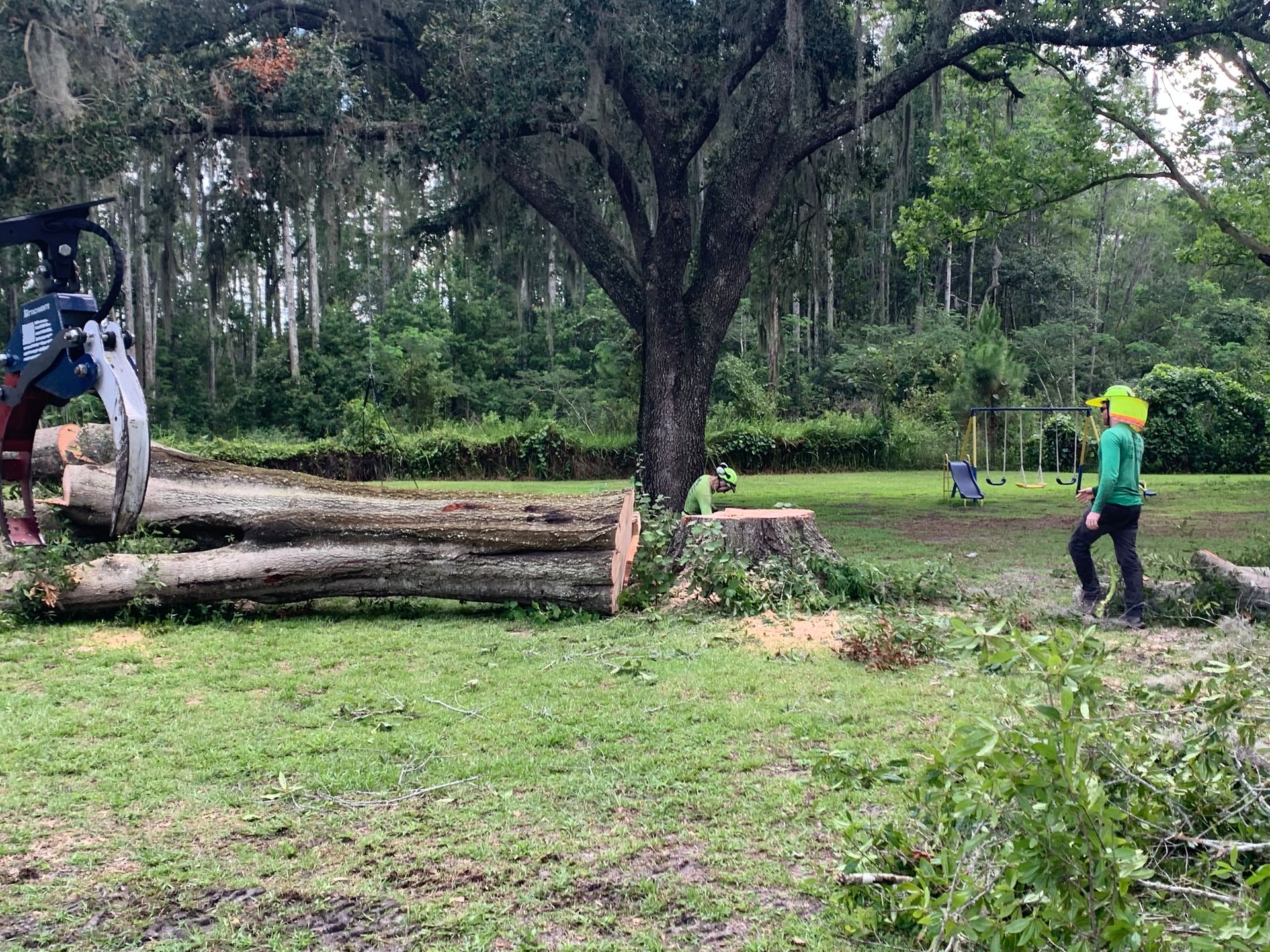 Tree Removal Clermont | Carleton Outdoor Tree Service | Crews Available