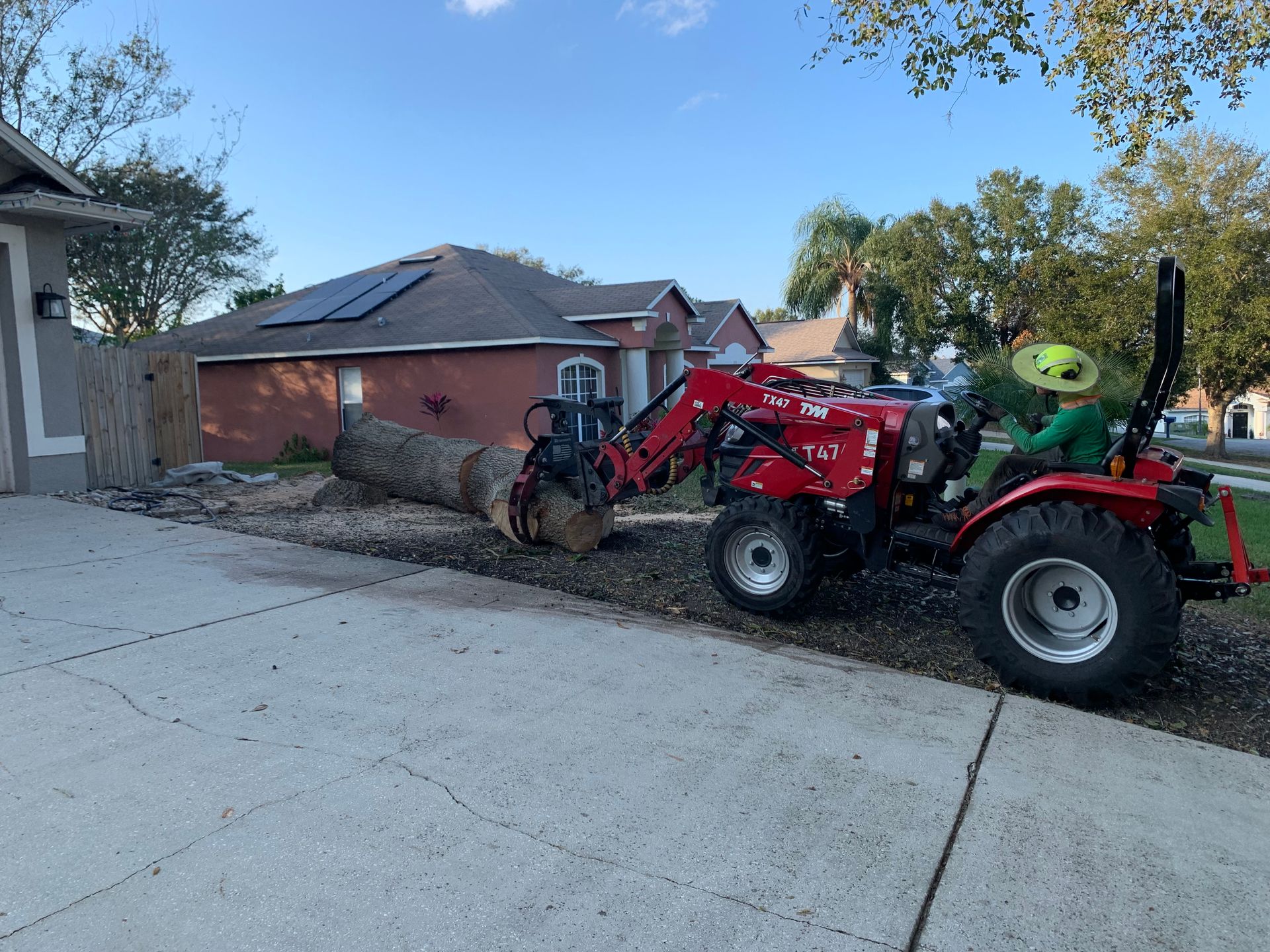 Tree Removal Clermont | Carleton Outdoor Tree Service | Crews Available