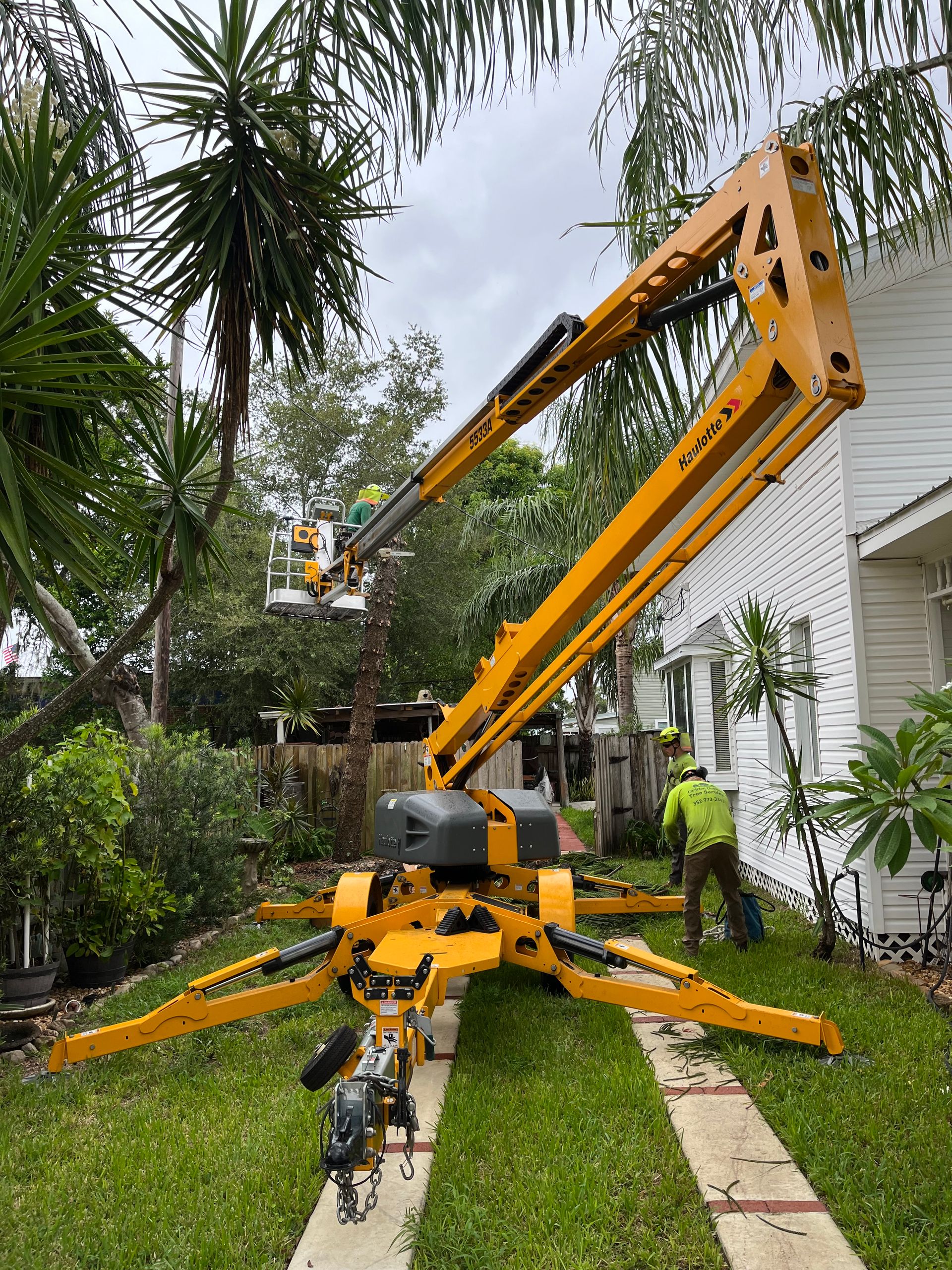 Why Choose Carleton Outdoors? | Clermont's Trusted Arborist