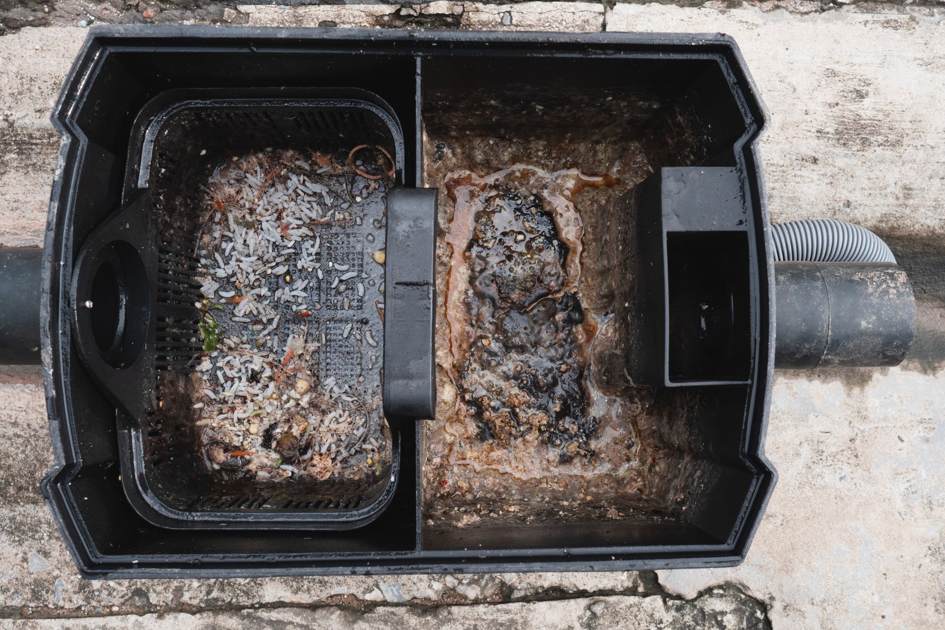 FOG Chemistry: How Grease Builds Up in Pipes | Southern Green