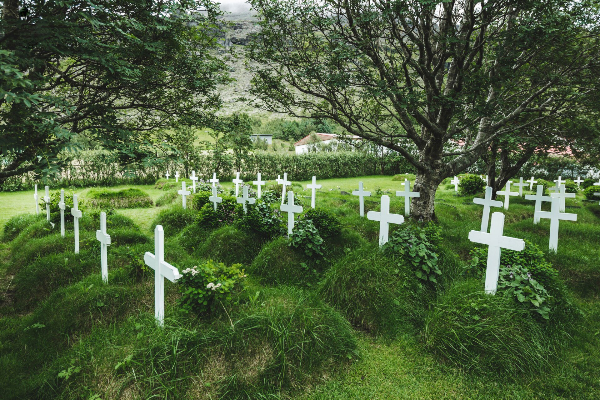 Funeral Home Hollywood Fl