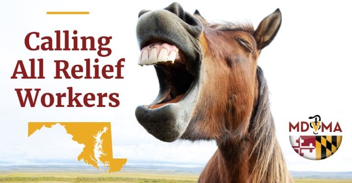 MDVMA Relief Work - Veterinary Relief Workers and/or Jobs Available in ...