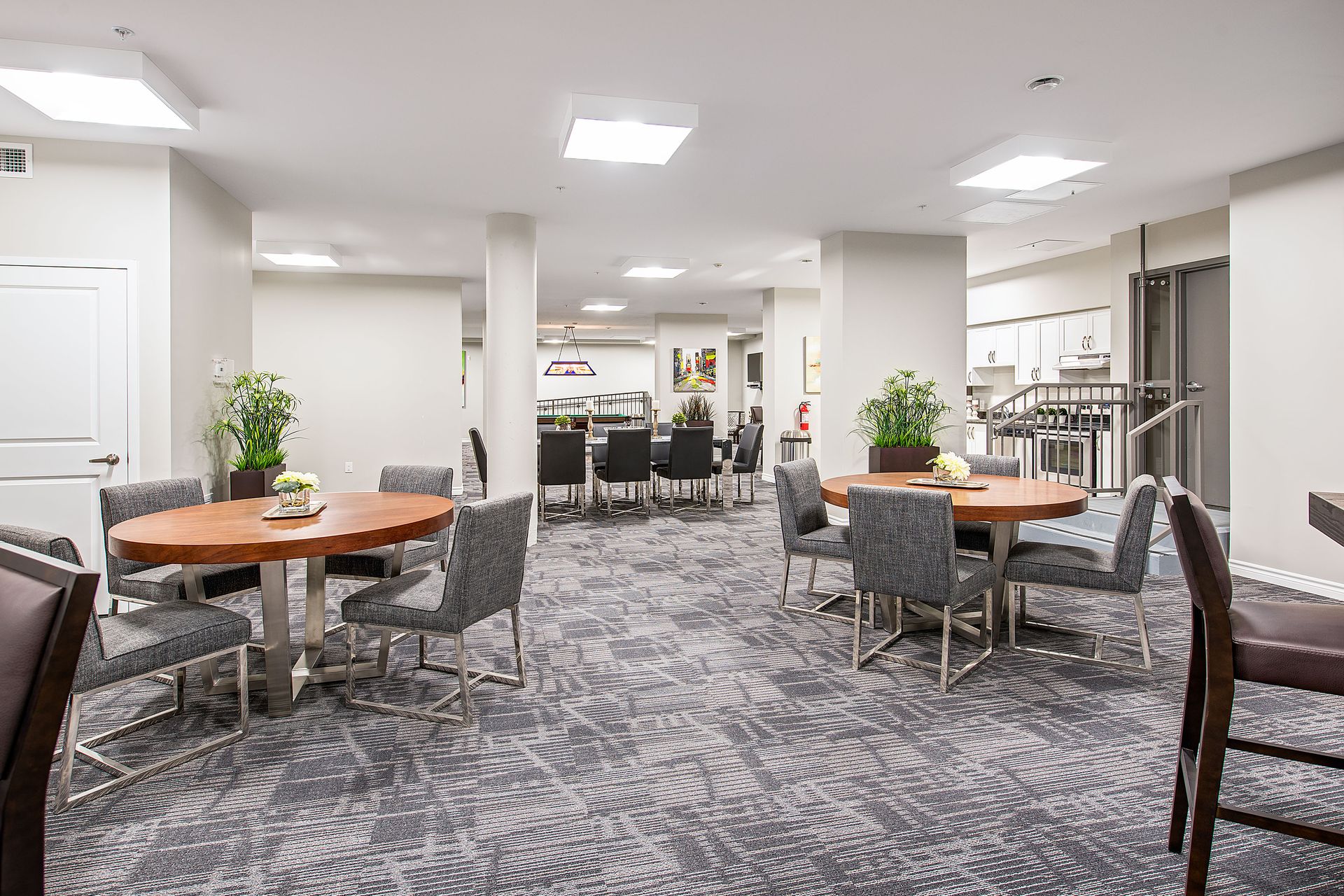 Guelph Apartments for rent