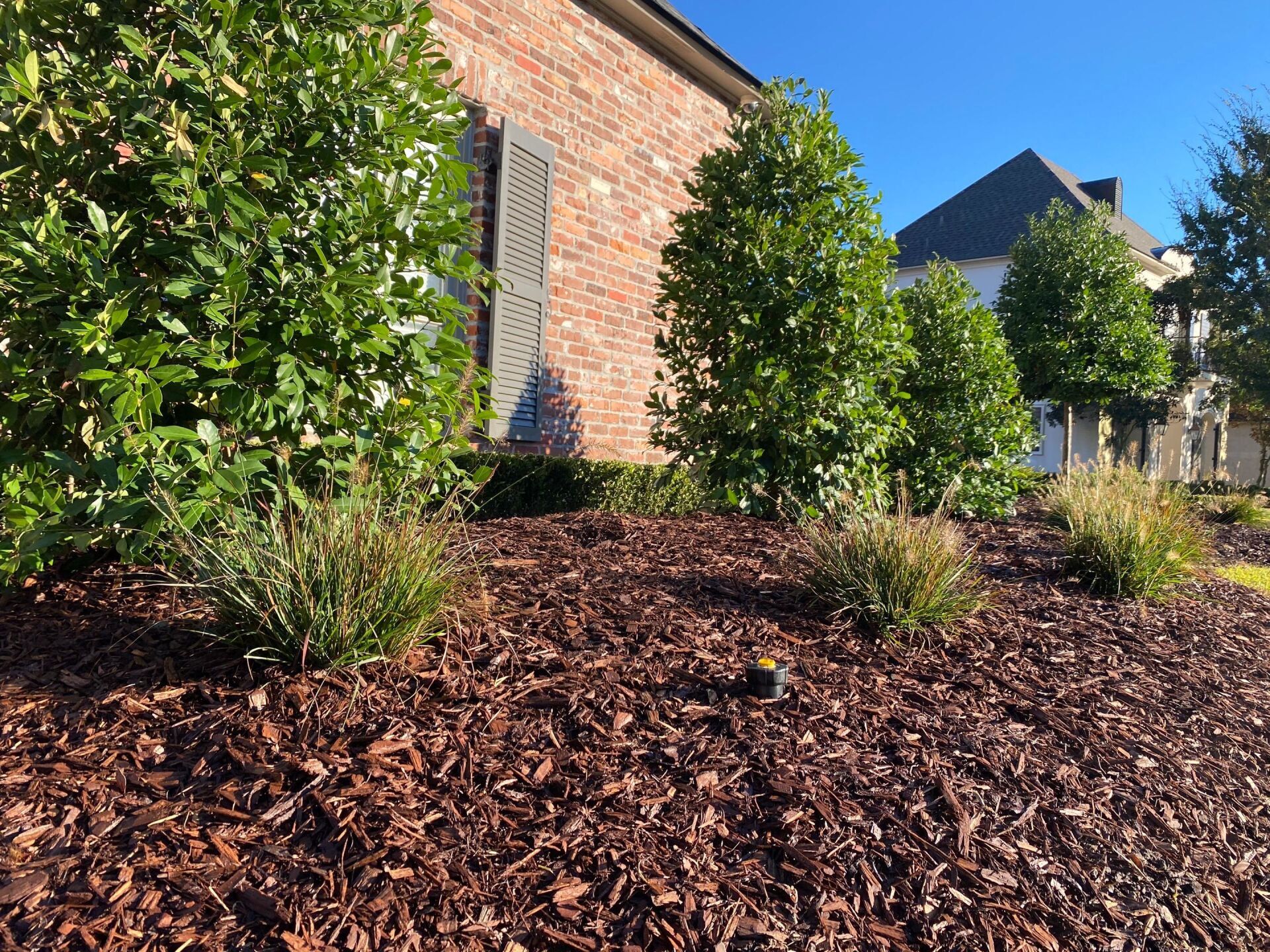 Landscape King of Baton Rouge 225-304-2499