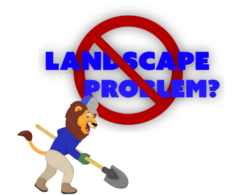 Solving Landscape Problems