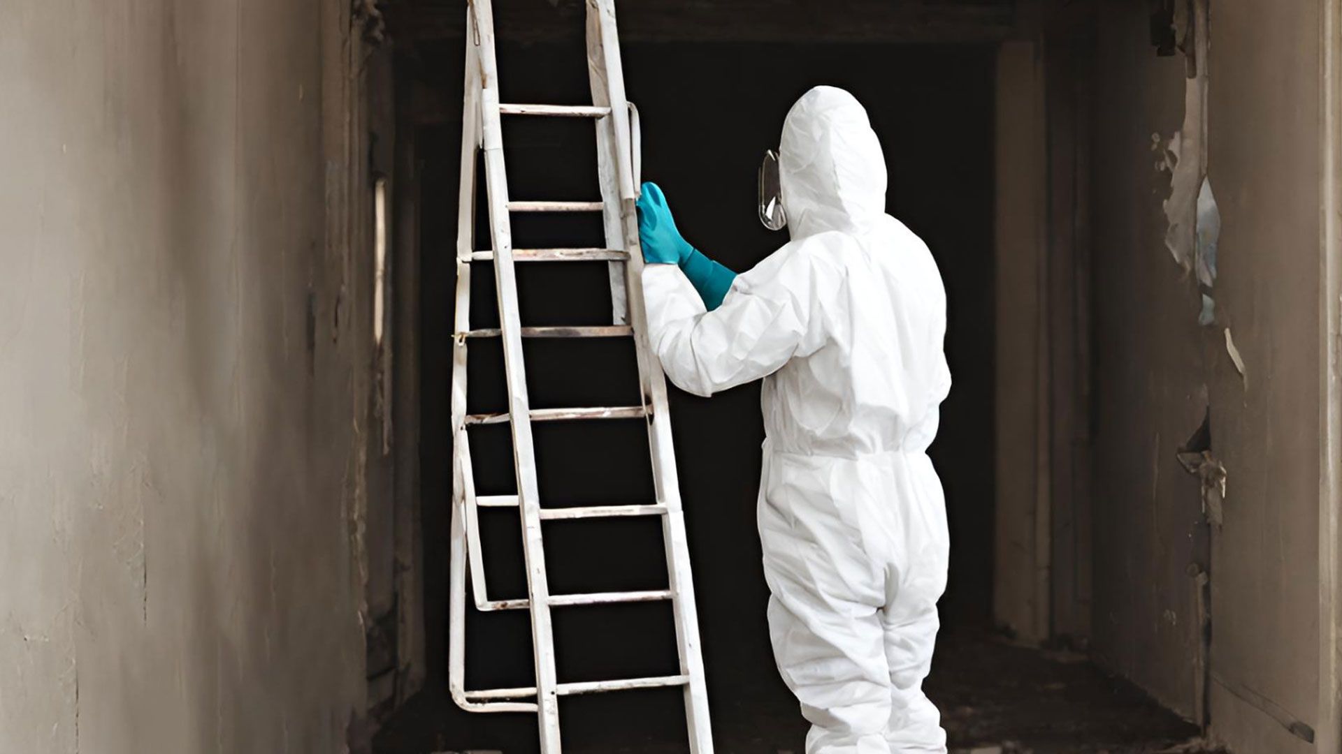 Choosing an Asbestos Contractor Series: 12 Things to Look For