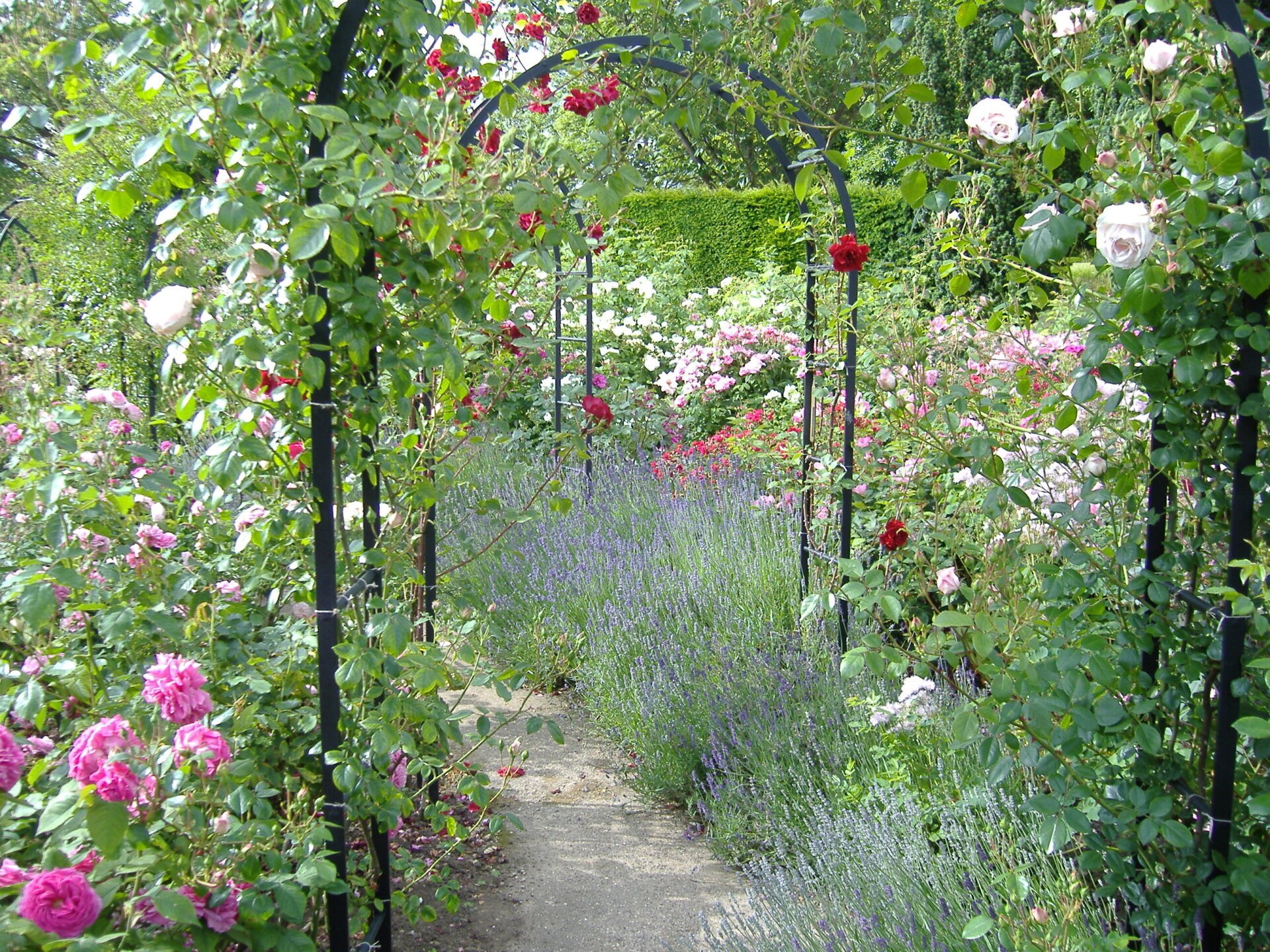 Award Winning & Unique Garden Design Services | Sarah Morgan Gardens