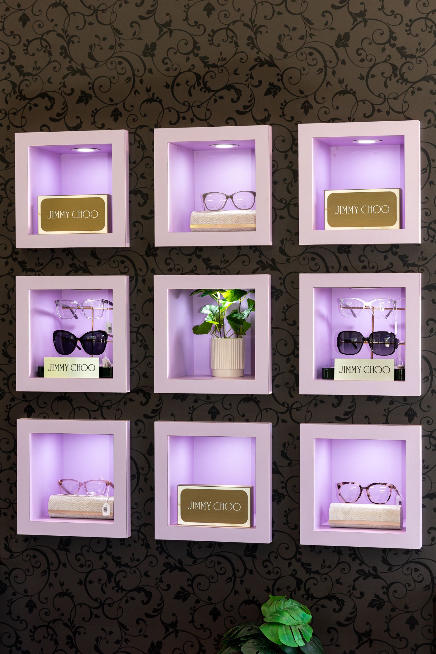 Prescription Fashion Frames in Gosford | Central Coast Eyecare