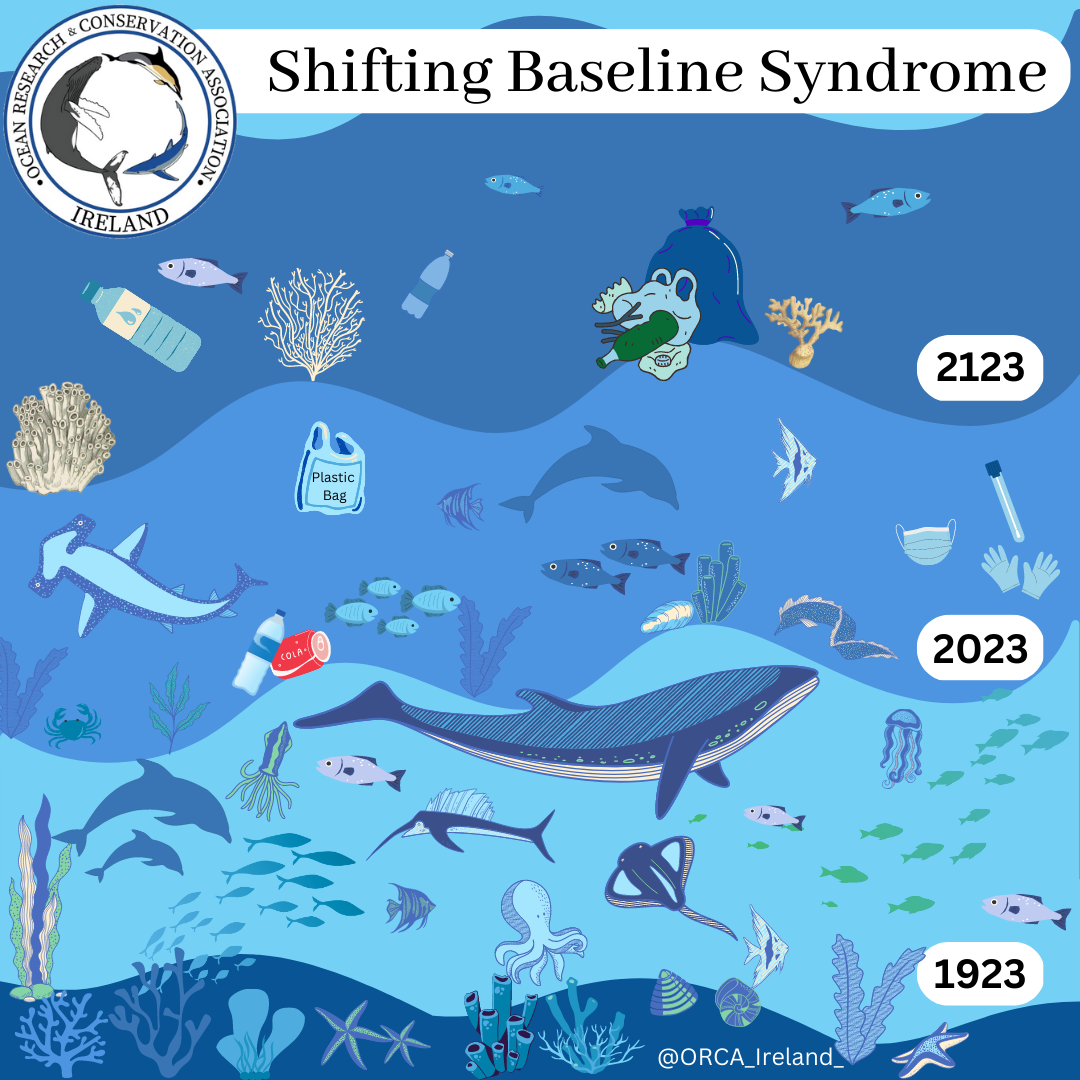 Canary in a Coal Mine: Shifting Ocean Baselines