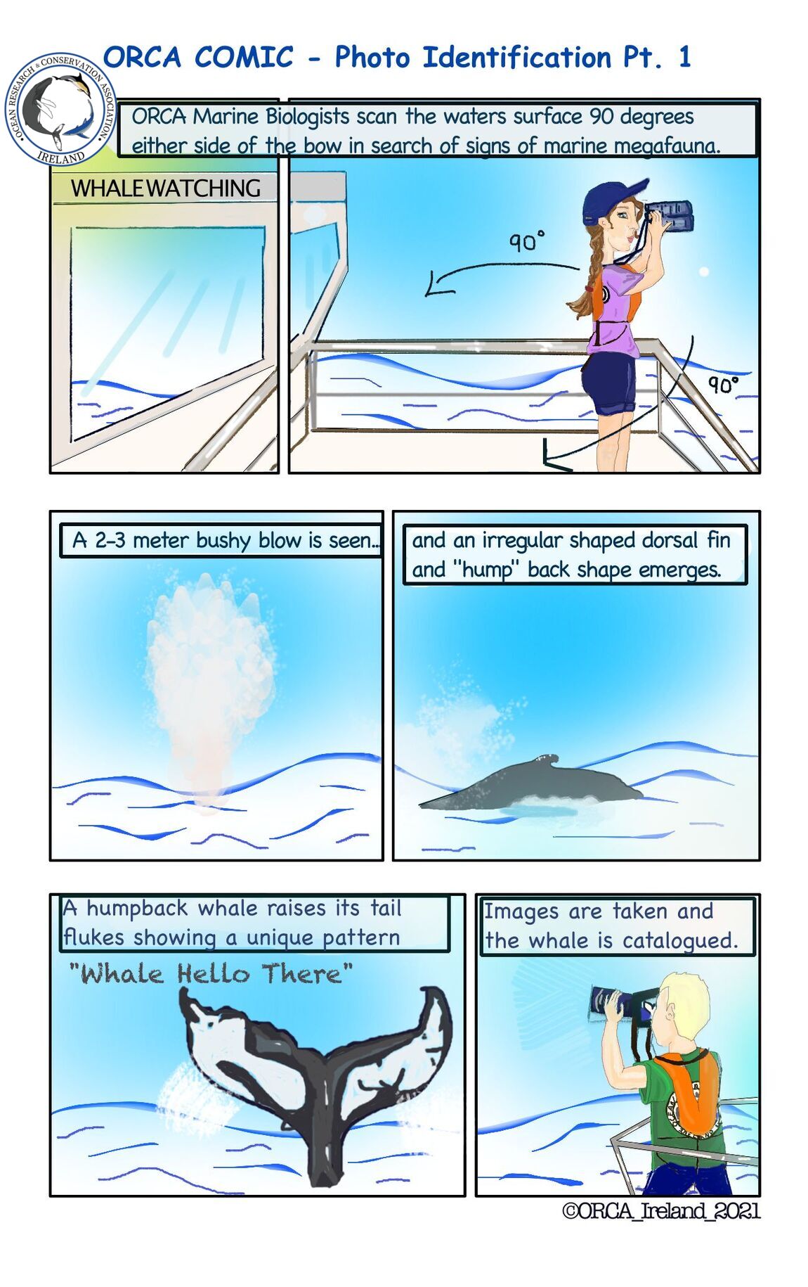 Ocean Research & Conservation Association of Ireland