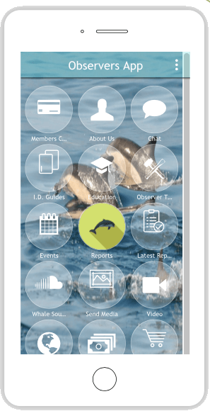 ORCAIreland- Get Involved