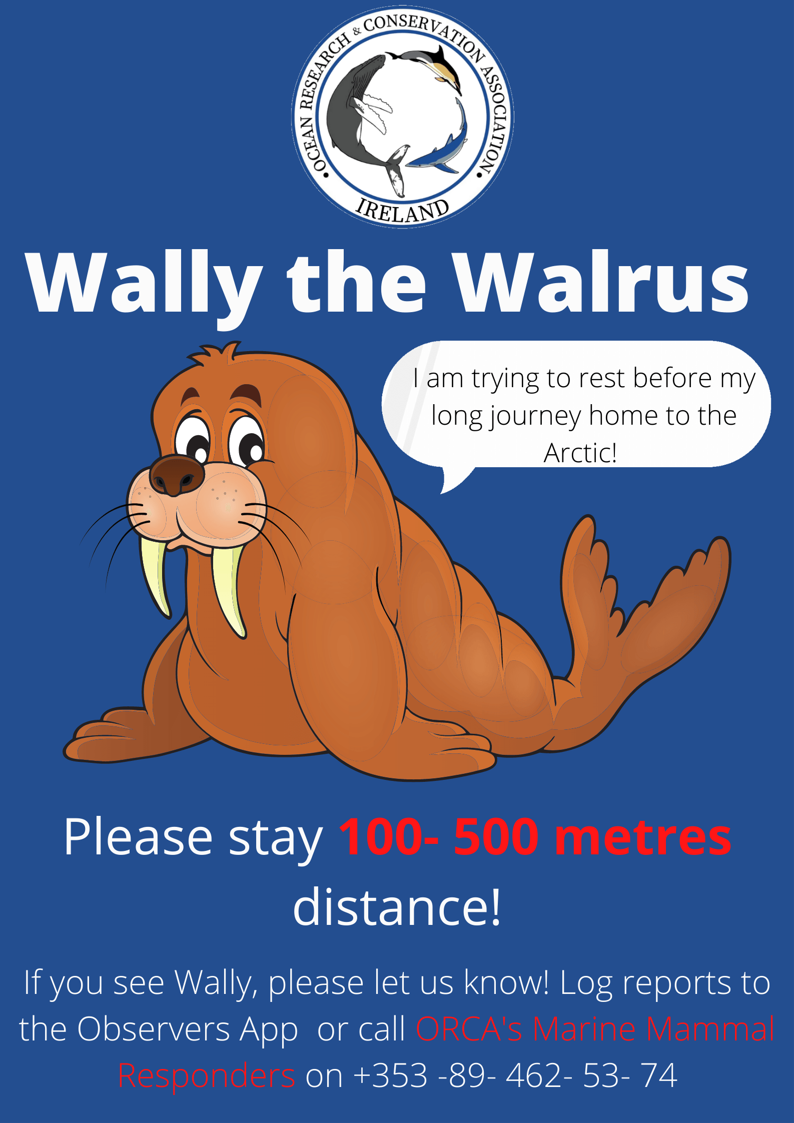 Ocean Research & Conservation Association of Ireland