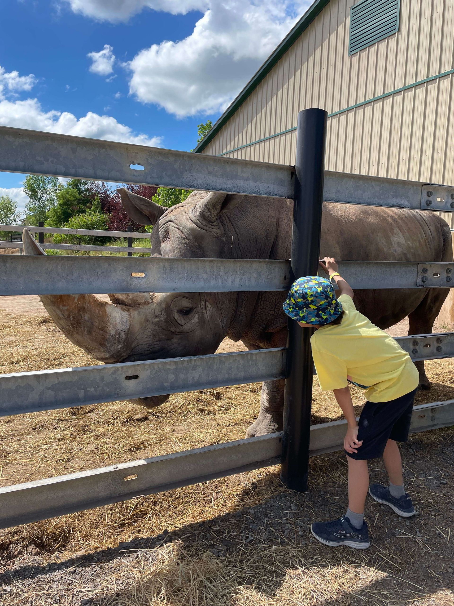 Safari Niagara Home Page