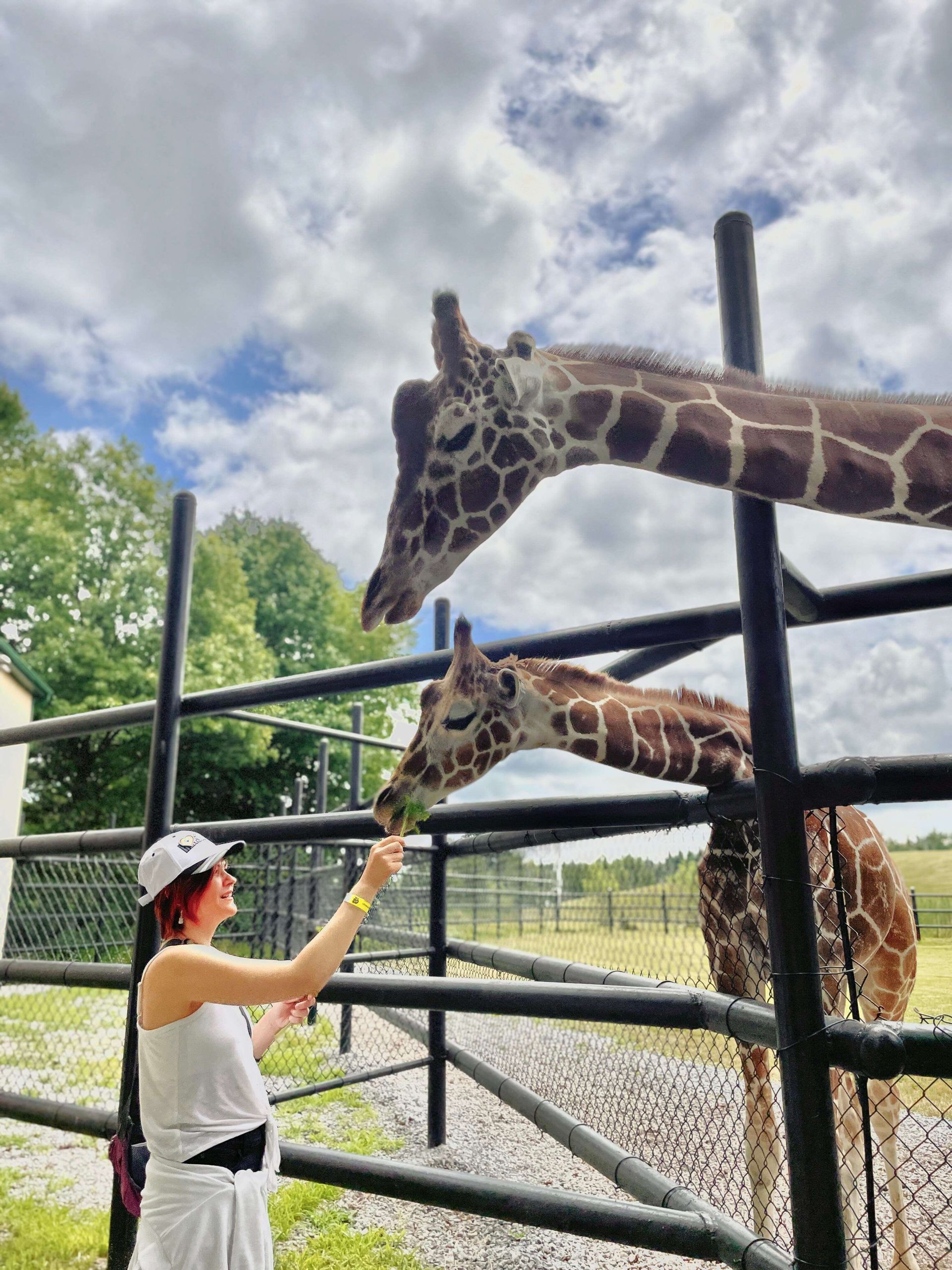 Junior Zookeeper Program | Safari Niagara