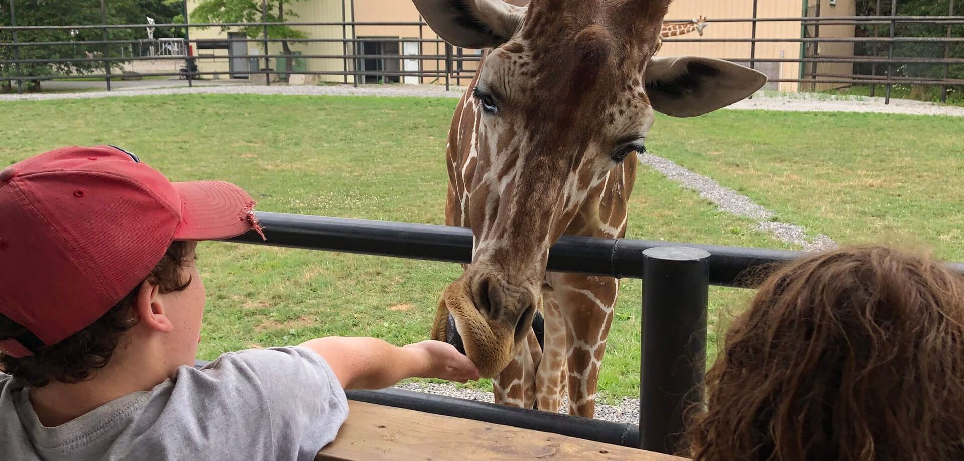 Wildlife Education | Safari Niagara