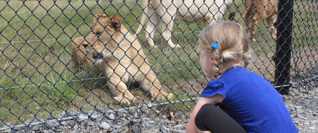 Behind-the-Scenes Tours | Safari Niagara