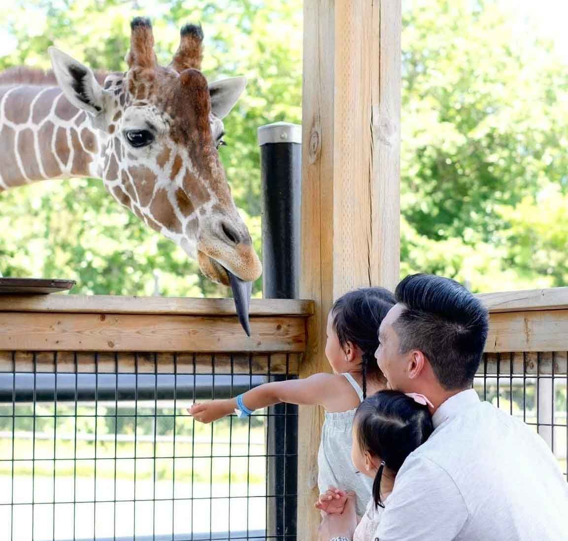 Keeper Talks & Shows | Safari Niagara