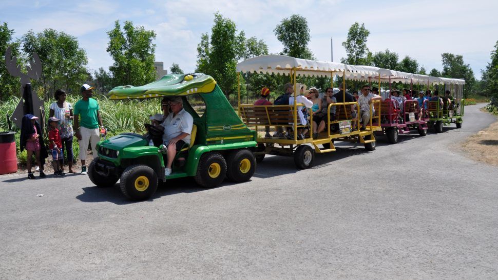 Zoo Activities & Adventures | Safari Niagara