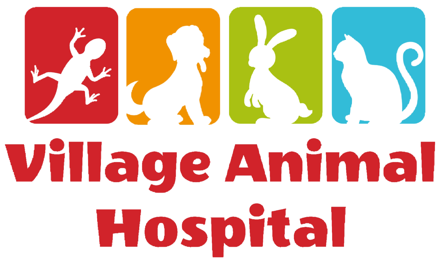 Village Animal Hospital Vet Clinic in Starkville, Mississippi