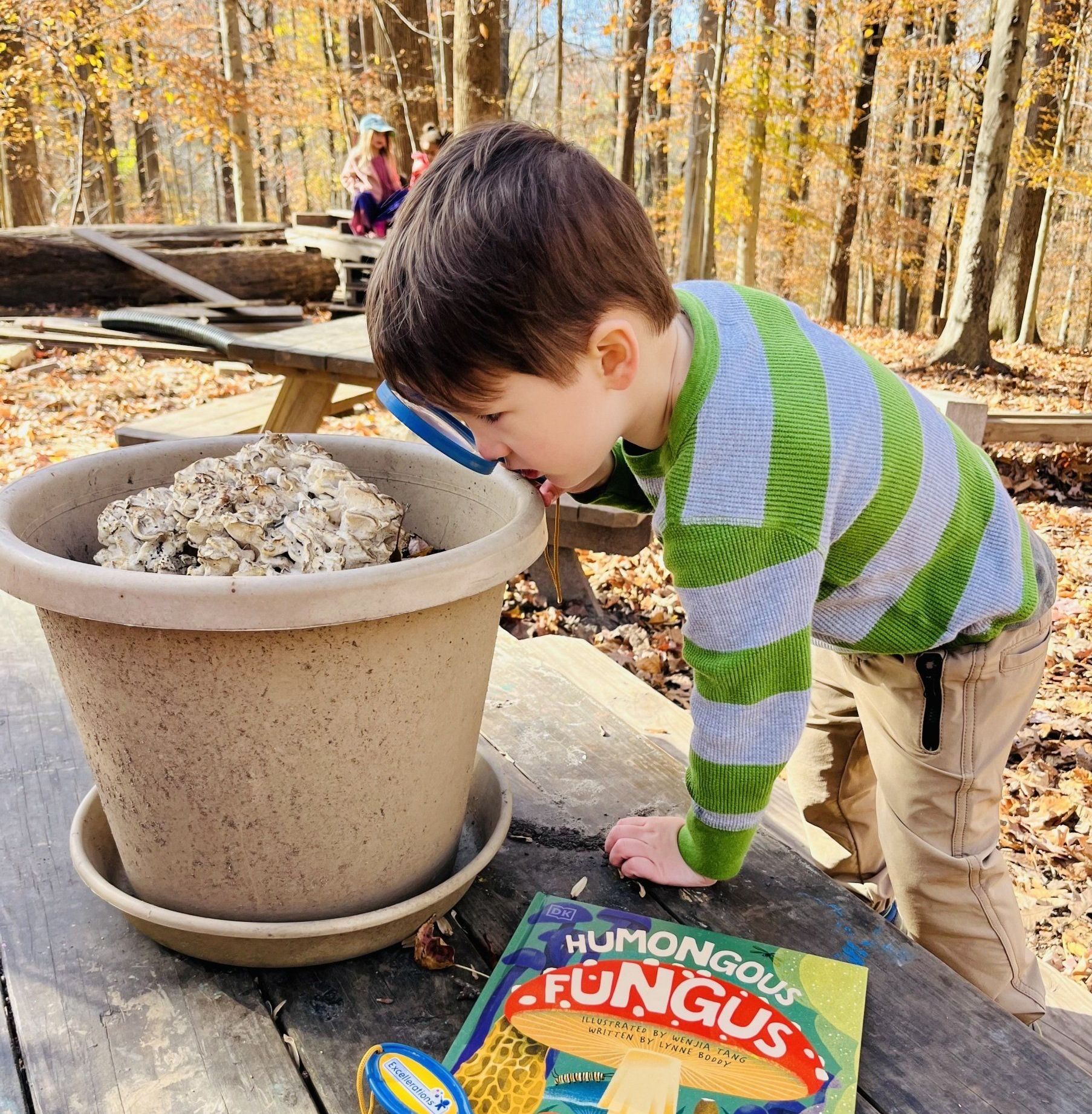 FORESTlearninglab | Hands-On Nature Fun