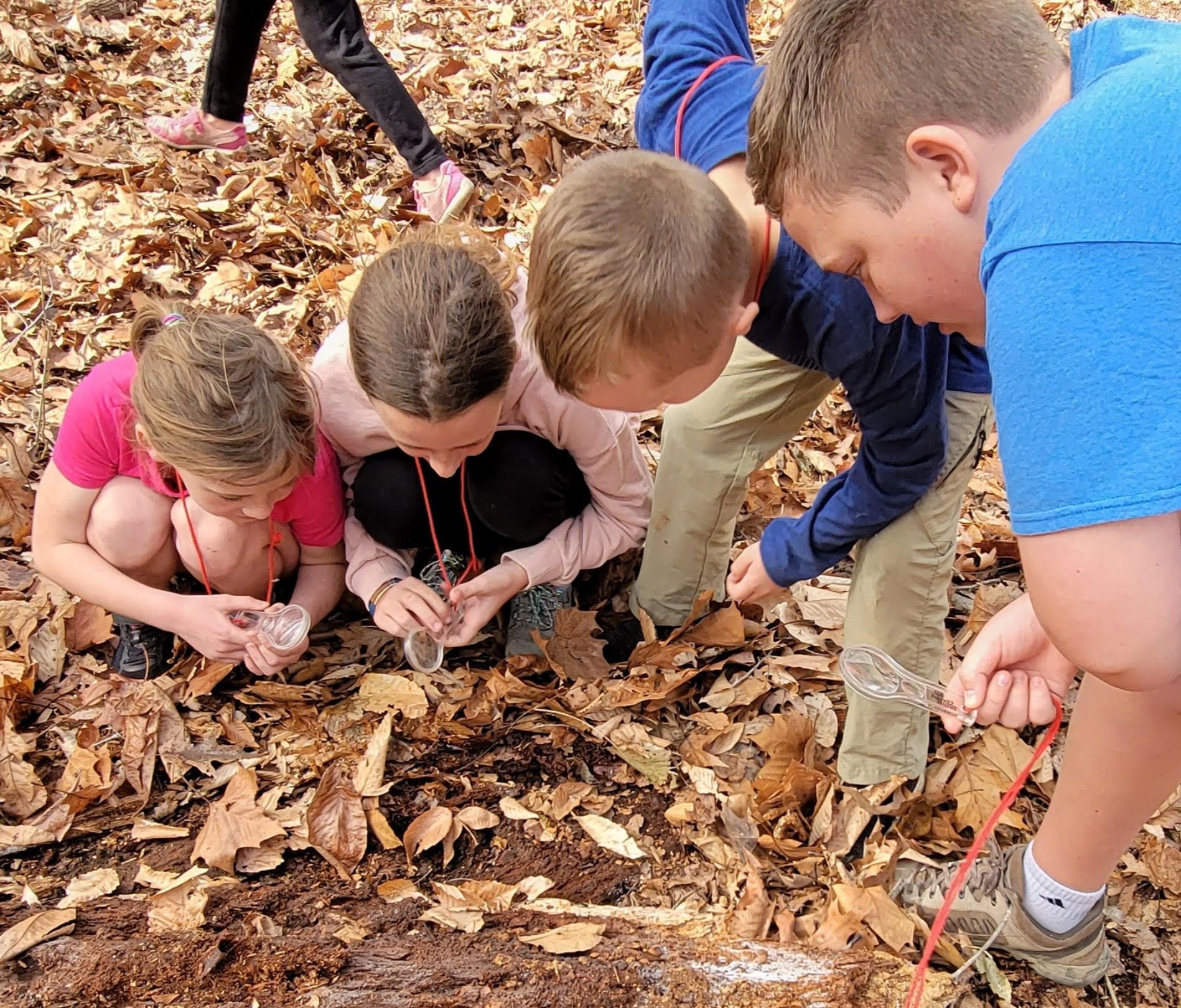 Nature Experiences Play and Learning – West River, MD – River’s Edge ...