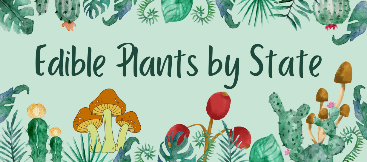 Edible Plants in Alabama [Foraging guide and tips]