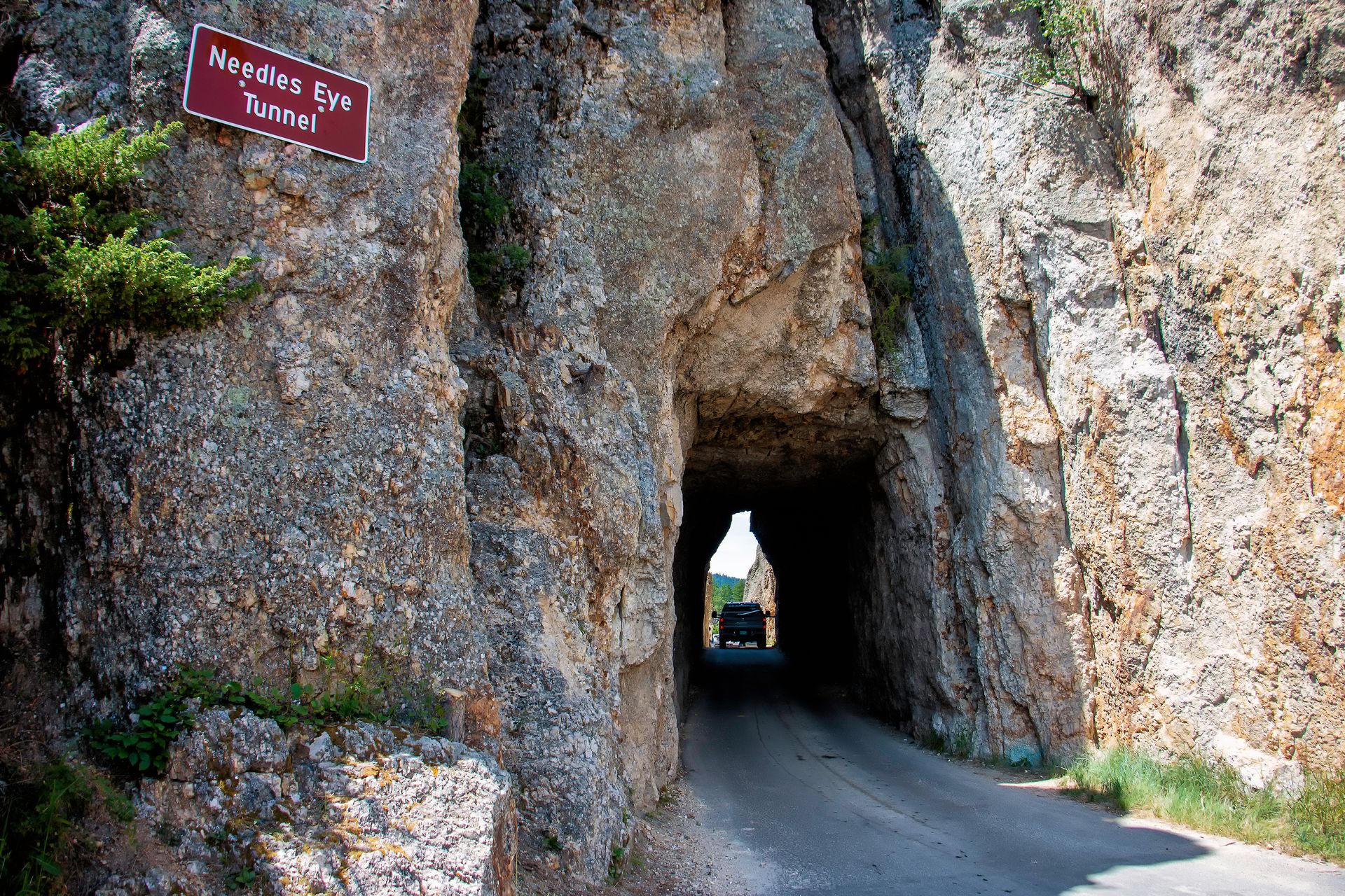 Exploring Needles Highway: A Visitor’s Guide