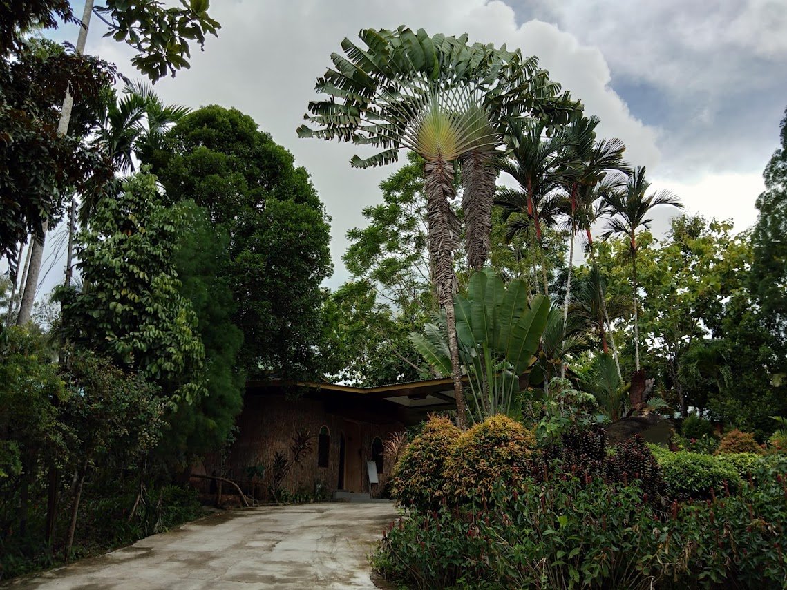 About Us | Sepilok Jungle Resort