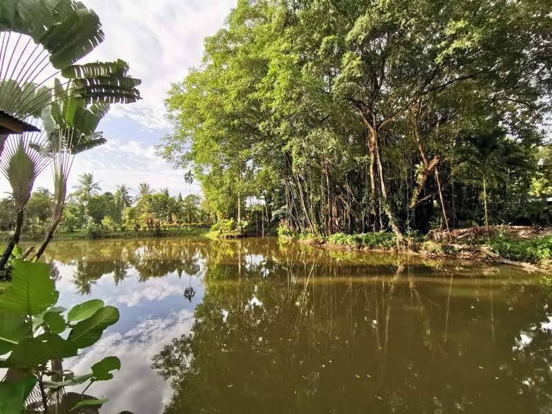 About Us | Sepilok Jungle Resort