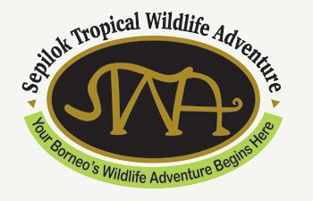 Tours | Your Borneo’s Wildlife Adventure Begins Here