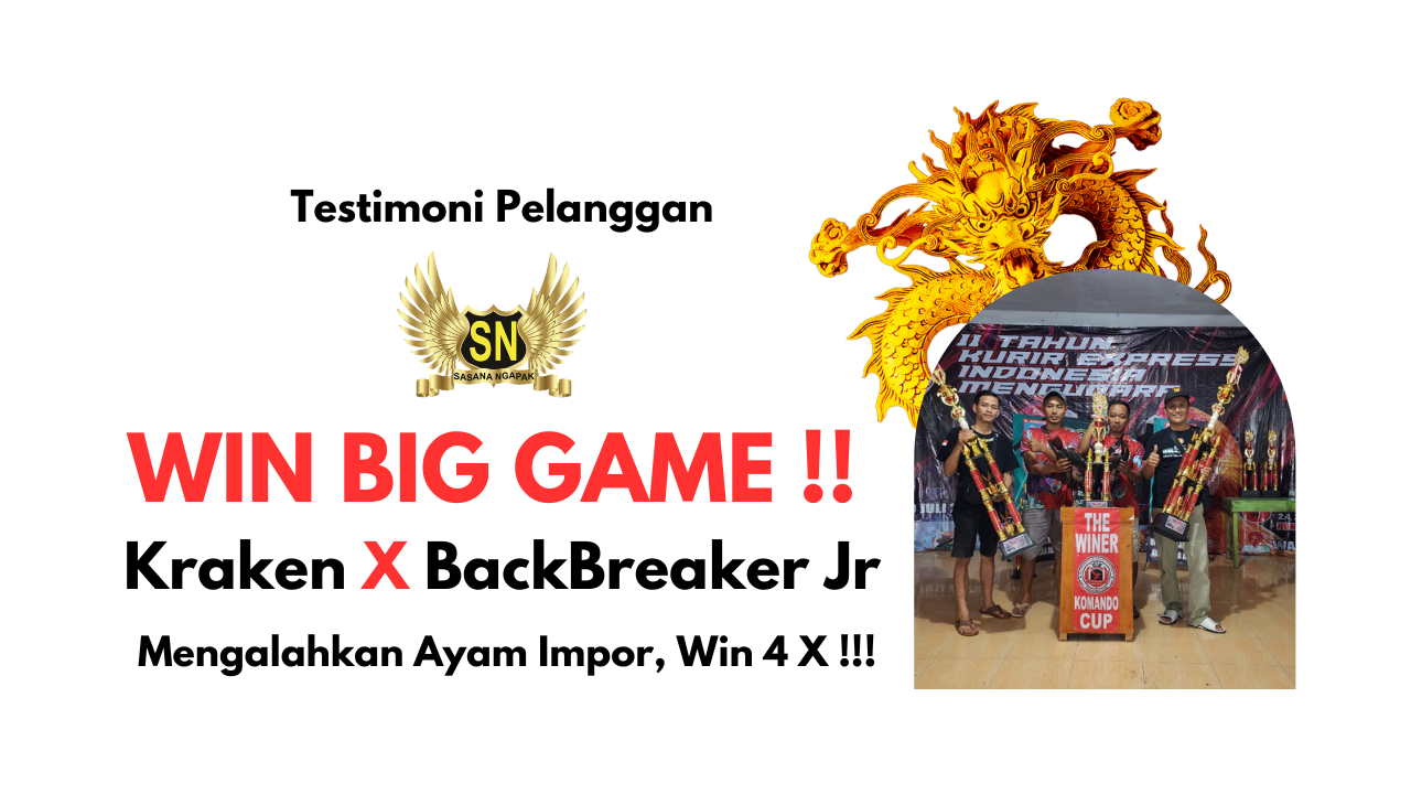 Pakhoy Backbreaker SN Win Big Game Melawan Jawara Impor