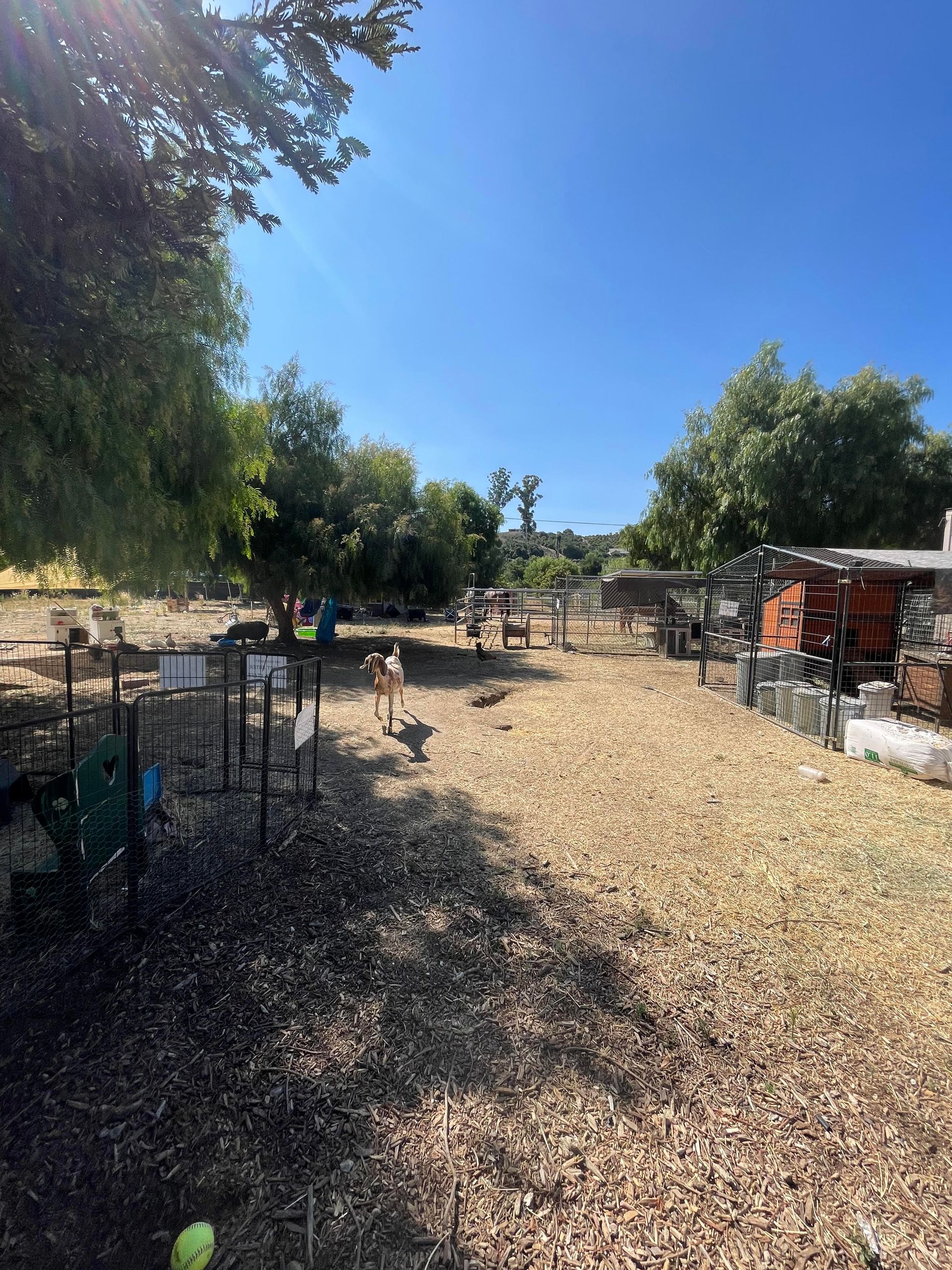 Home [www.presleymayfarms.com]