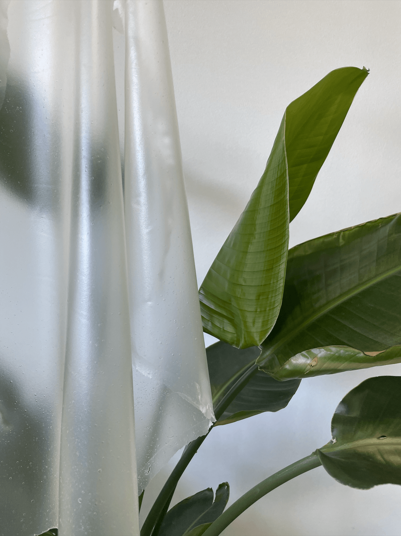Agro Biomaterials
