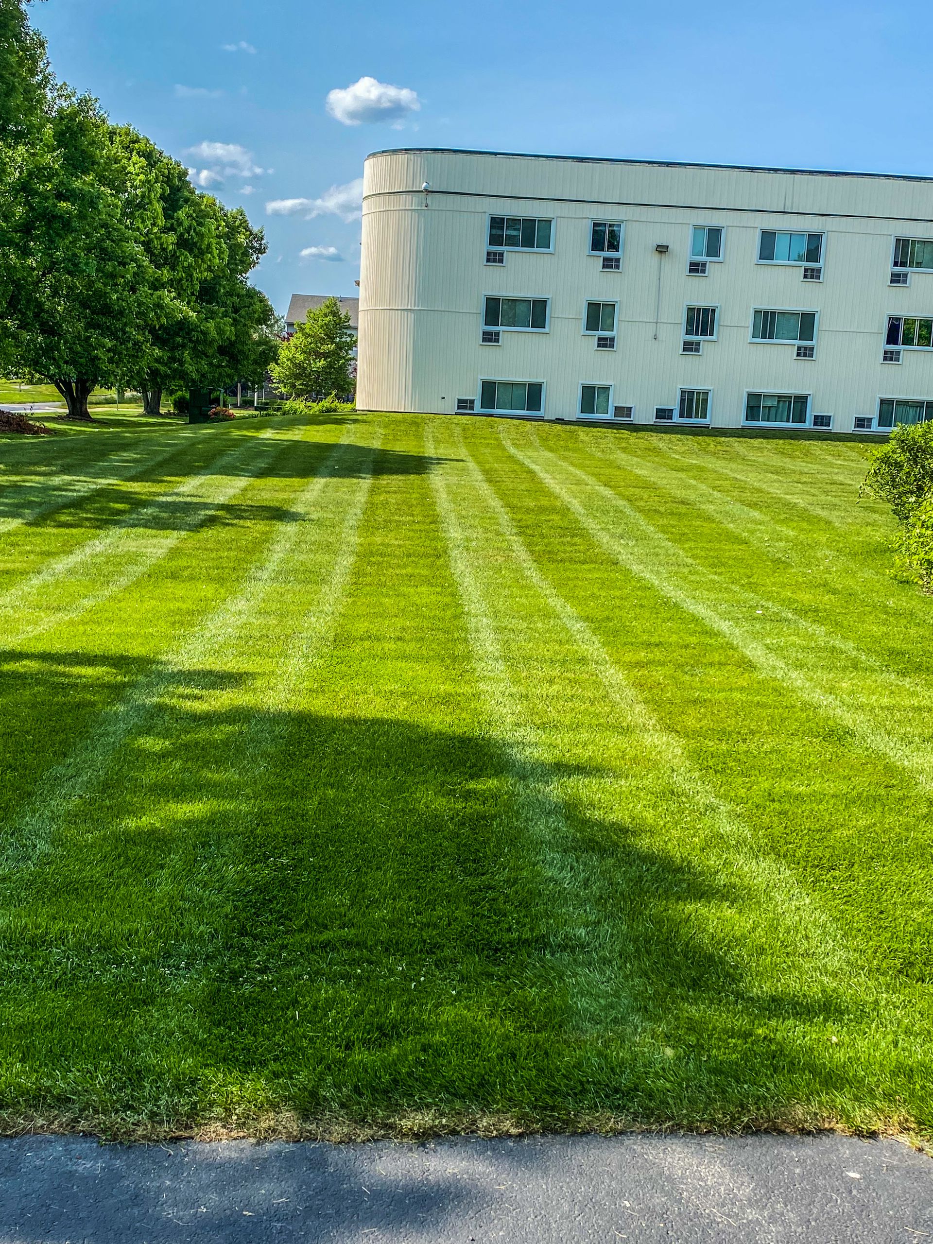 Marshall Landscaping | DE Landscape Company