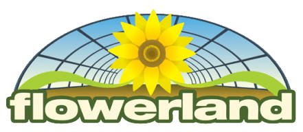 Flowerland | Hawke's Bay Flowers | Delivered North Island wide