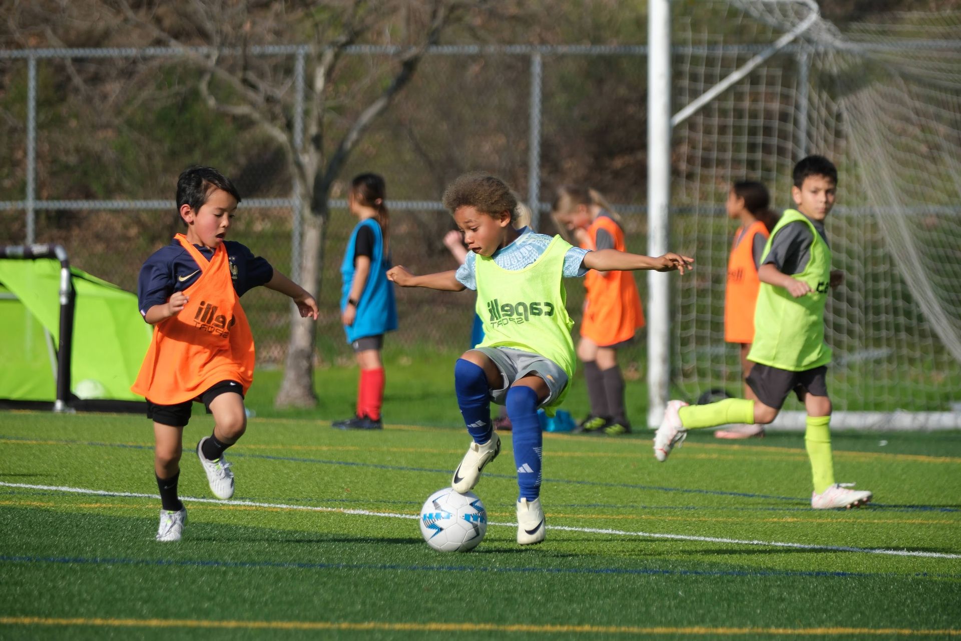 OPEN TRAINING + TRYOUTS
