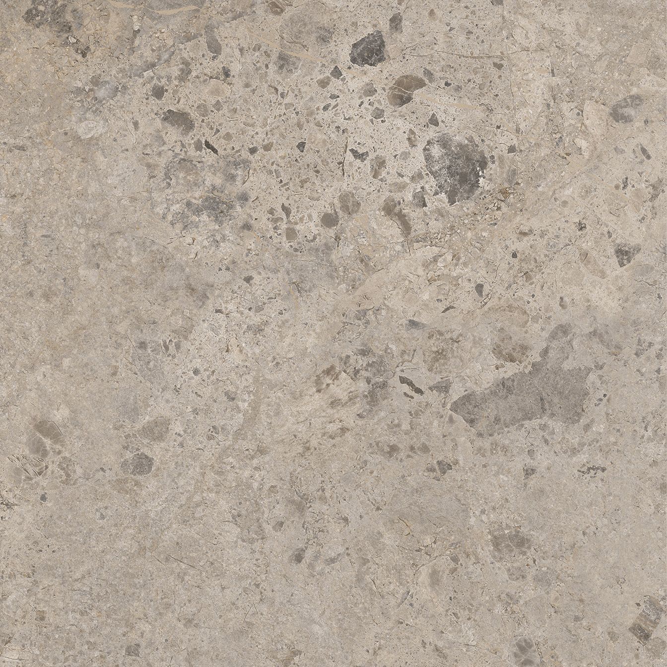 A Tile Wholesaler for Victoria Retailers | Clayton South