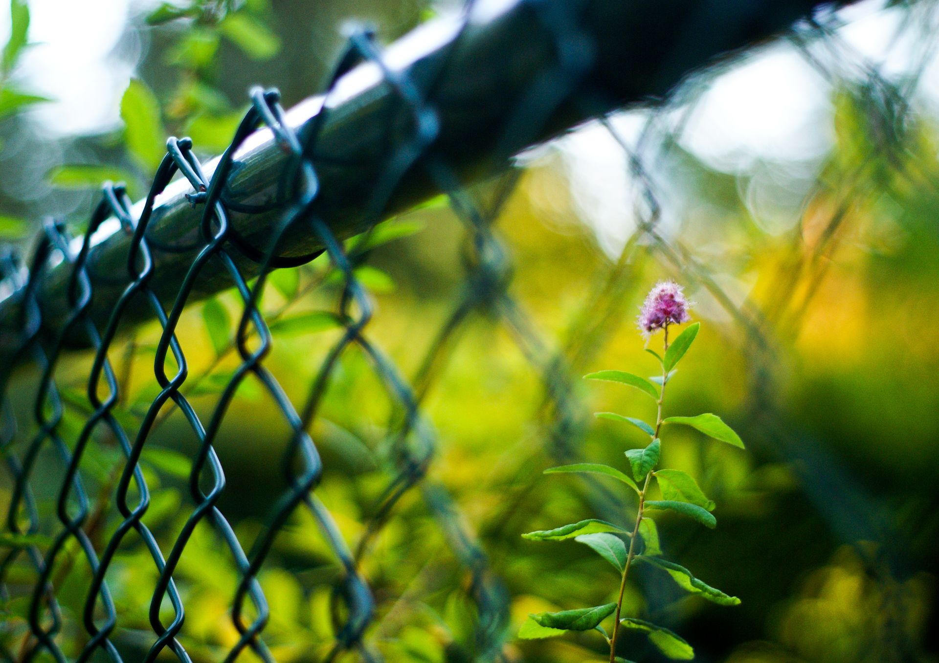 Fencing & Gate Installation – Georgetown, TX – GTX Fence
