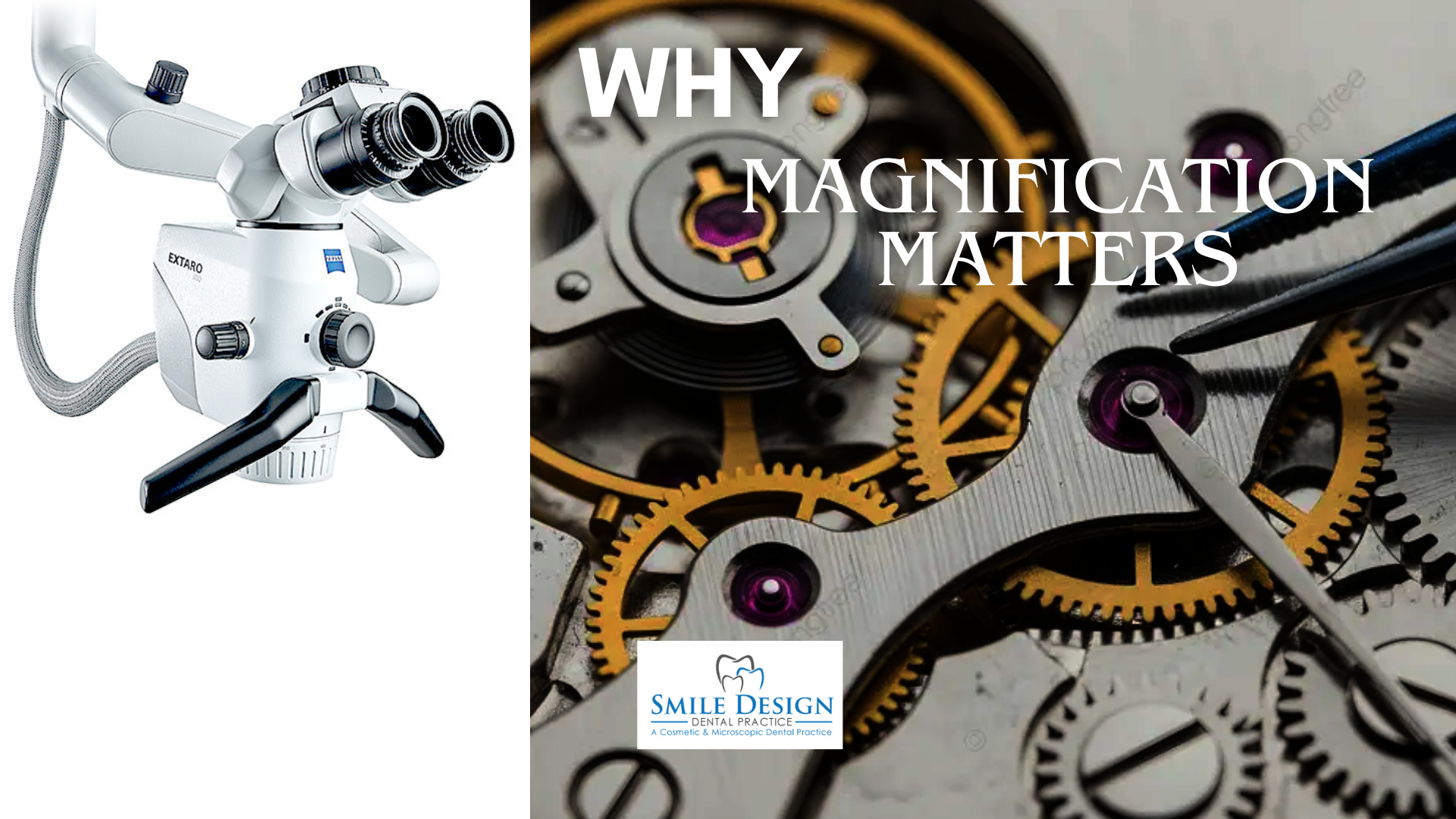 Why Magnification Matters?