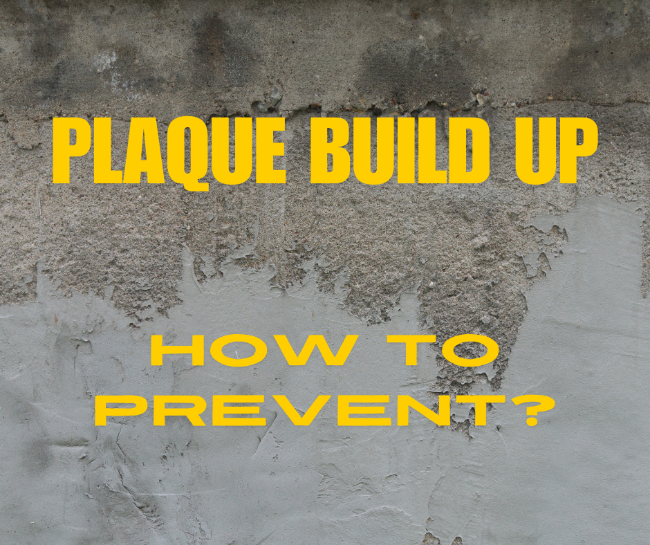 Professional Advice to Reduce Dental Plaque Build-up