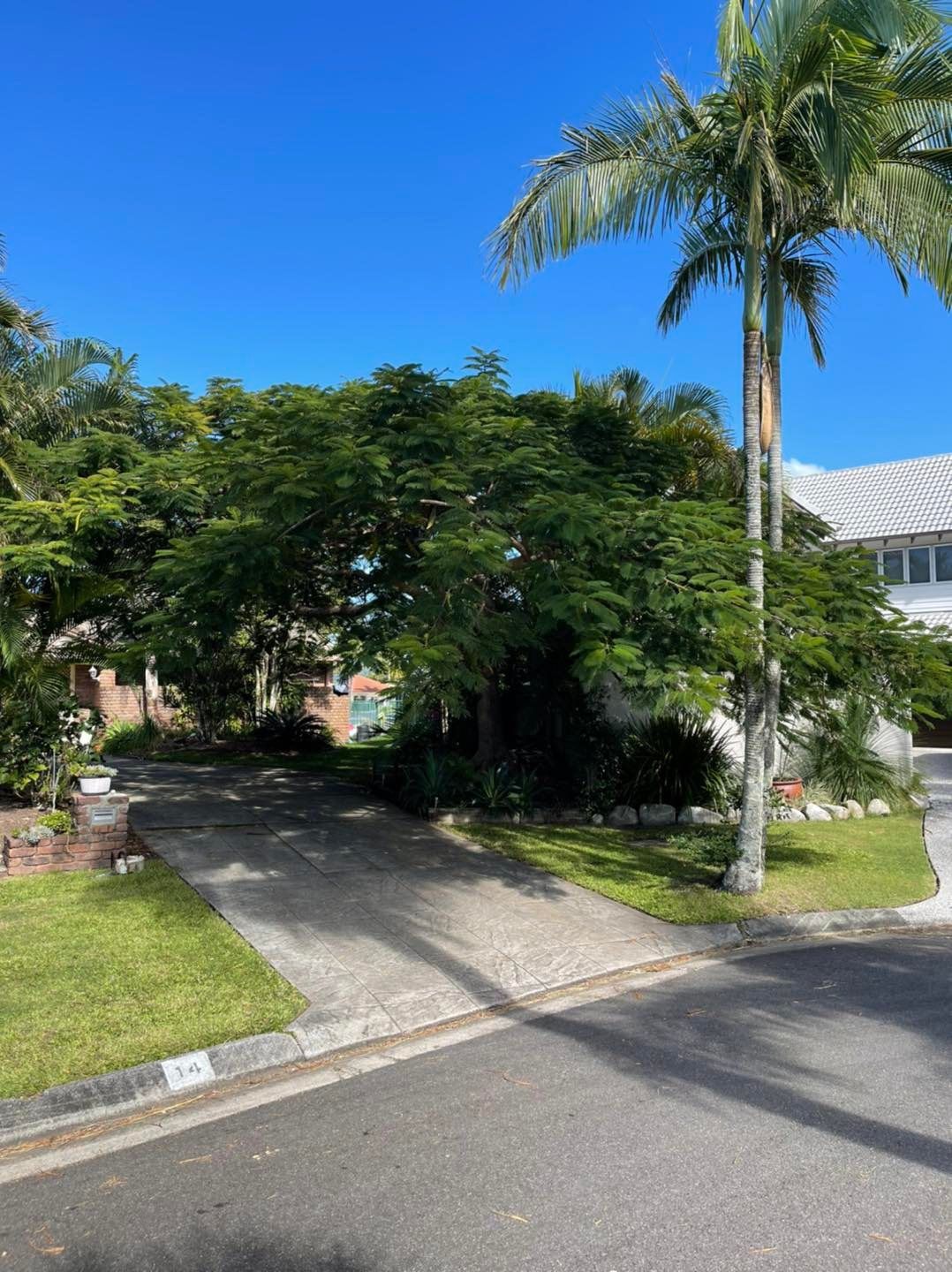 True Blue Tree and Stump Removal's Gallery | Sunshine Coast