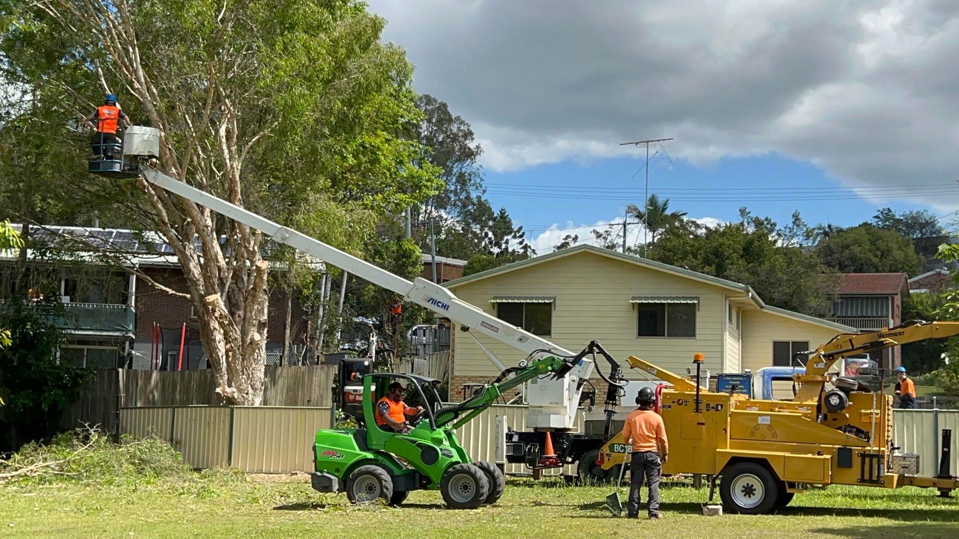 True Blue Tree and Stump Removal's Gallery | Sunshine Coast