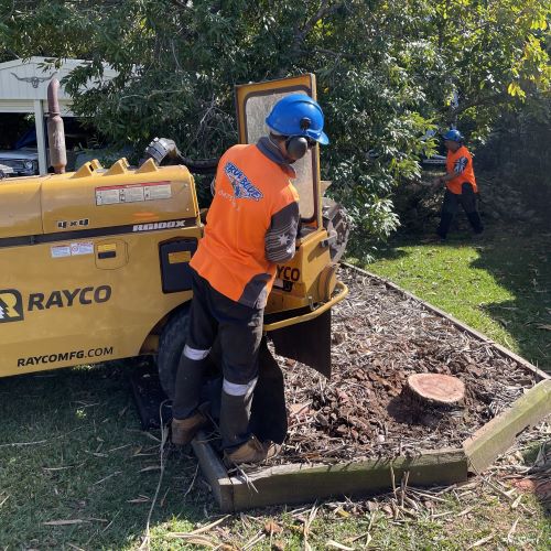 Stump Grinding on the Sunshine Coast | True Blue Tree and Stump Removal