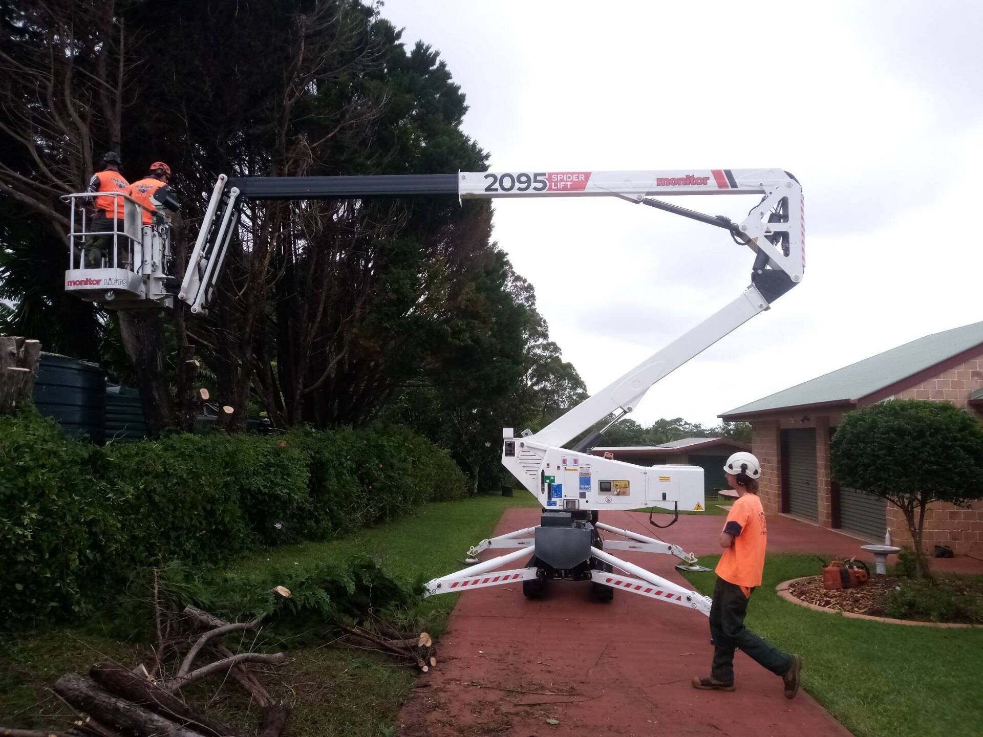 True Blue Tree and Stump Removal's Gallery | Sunshine Coast