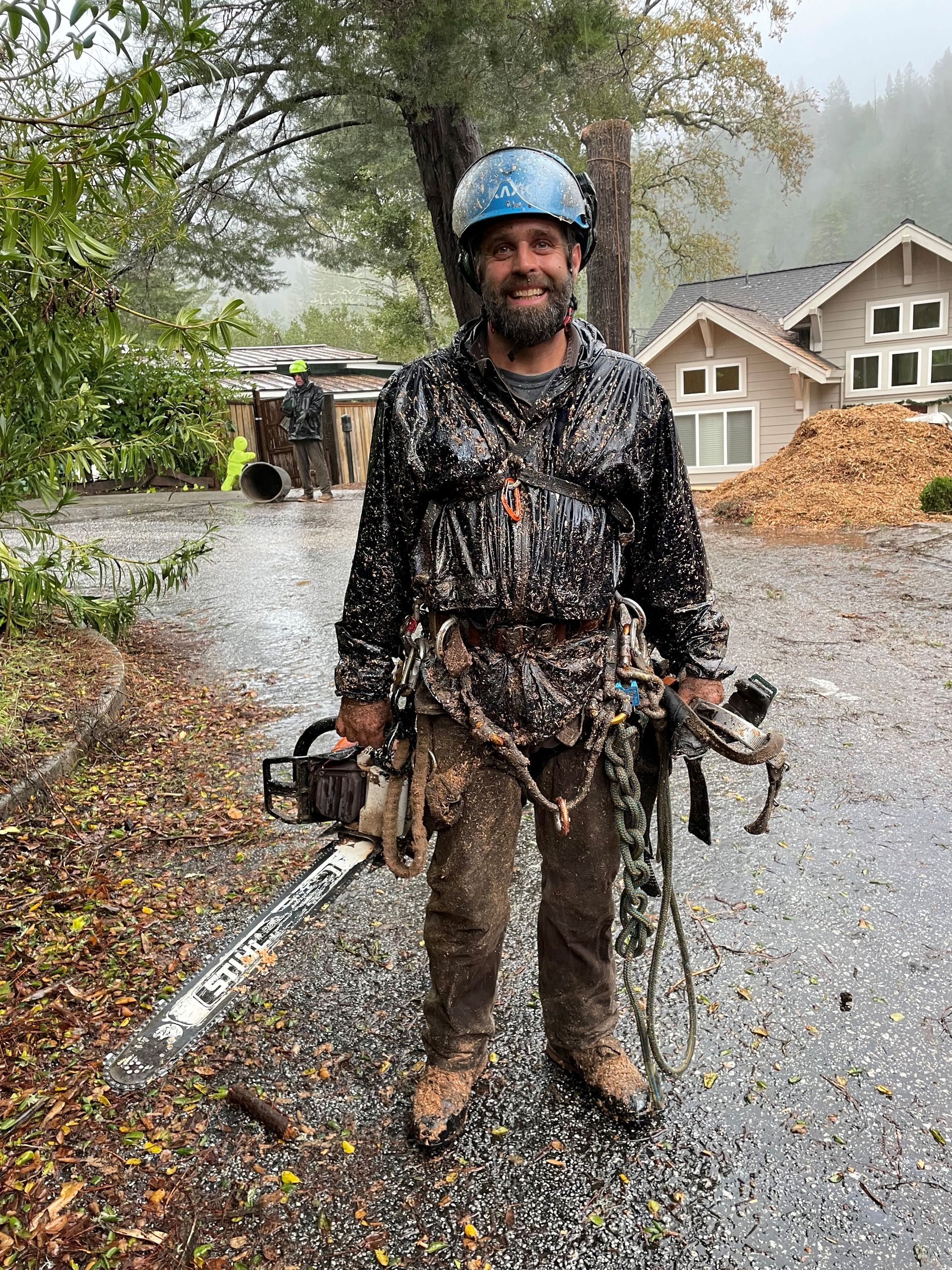 Project Gallery | Soquel, CA | JD Tree