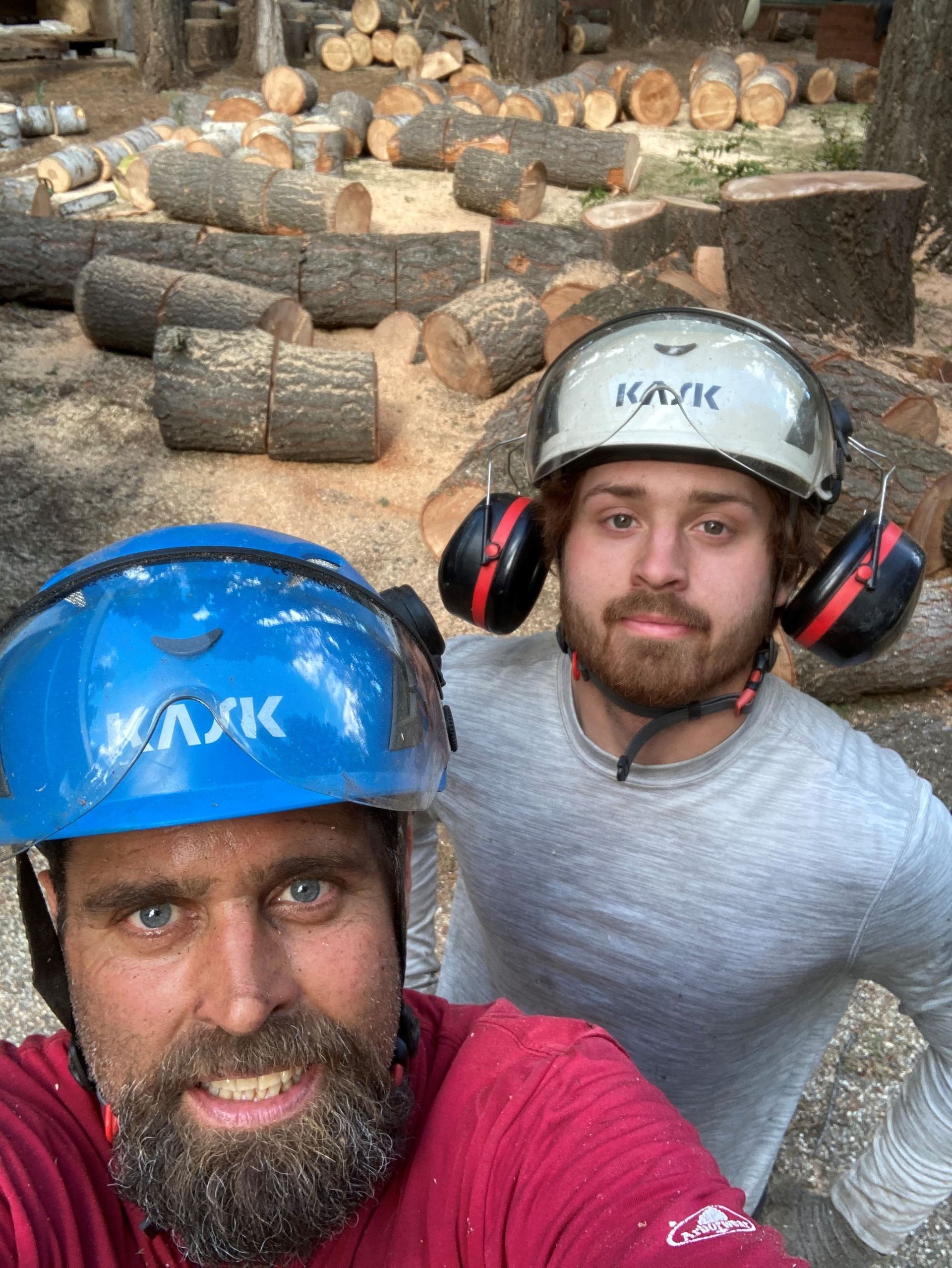 Project Gallery | Soquel, CA | JD Tree