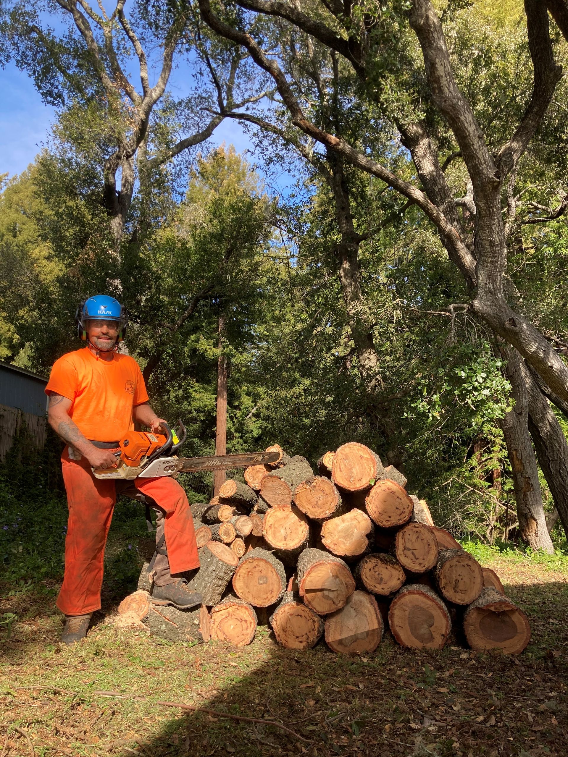 Project Gallery | Soquel, CA | JD Tree