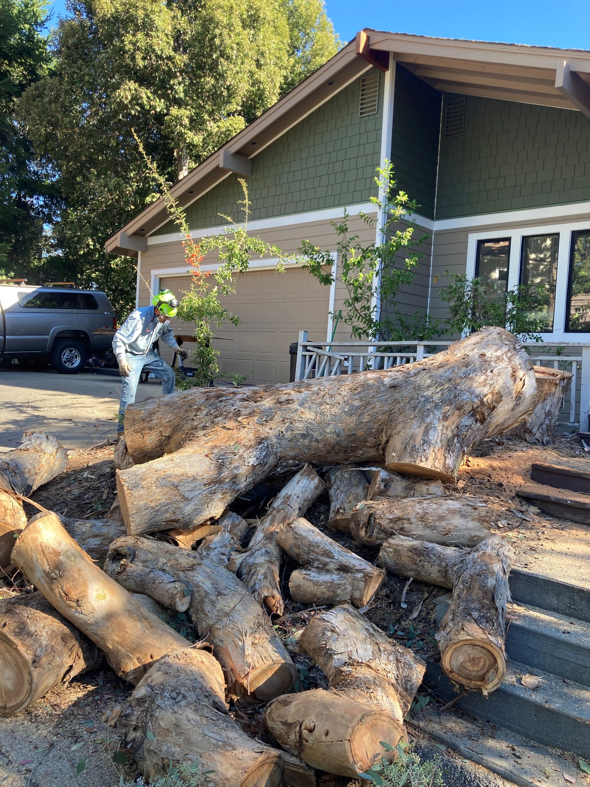 Project Gallery | Soquel, CA | JD Tree