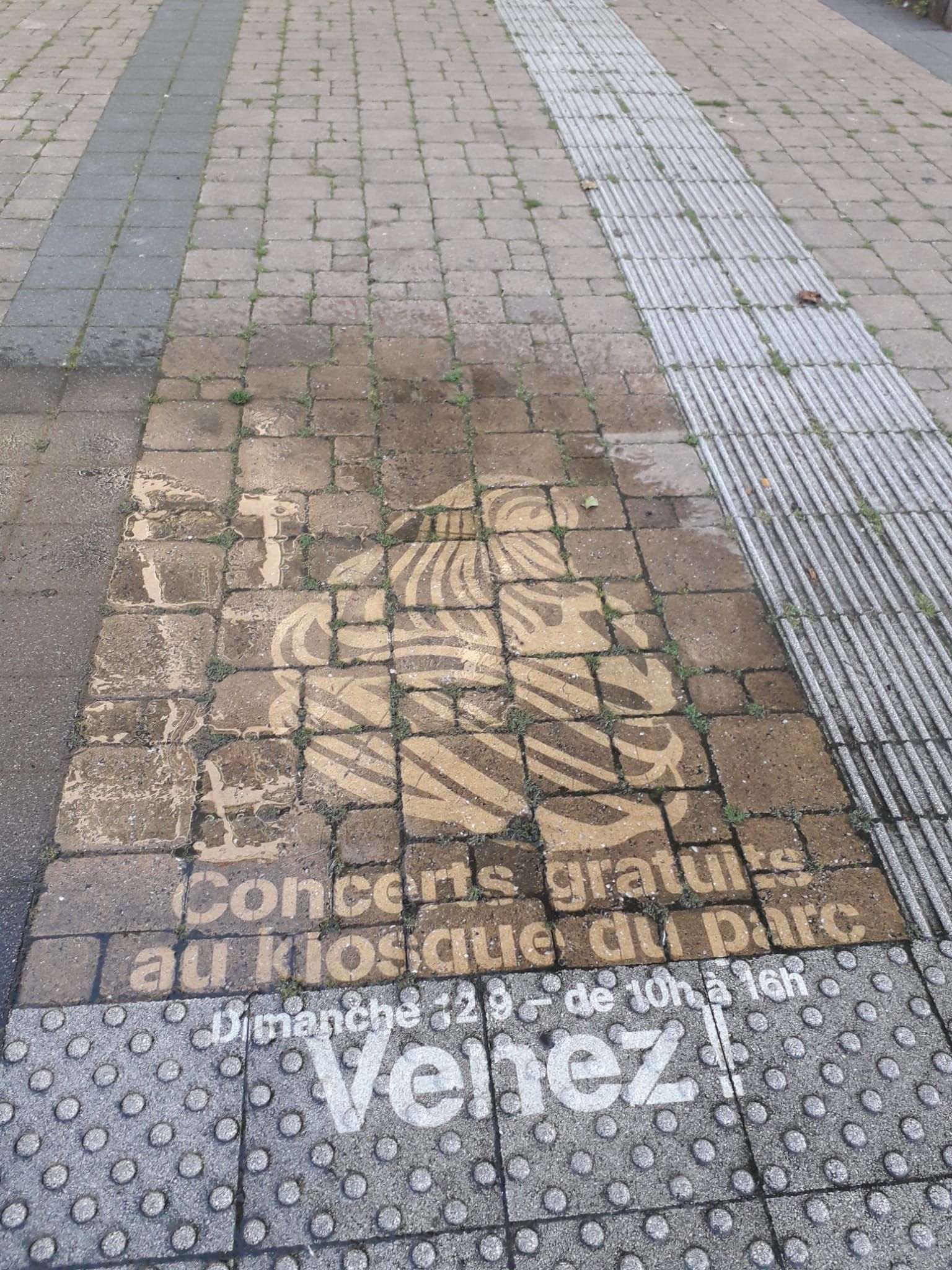 Marquage au sol publicitaire -Chalk tag- Namur-Brabant Wallon